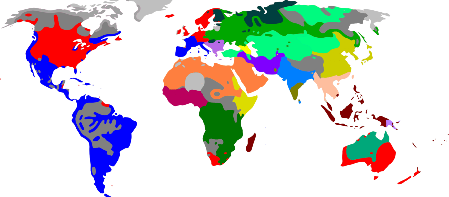 Universal Languages - Linguifex